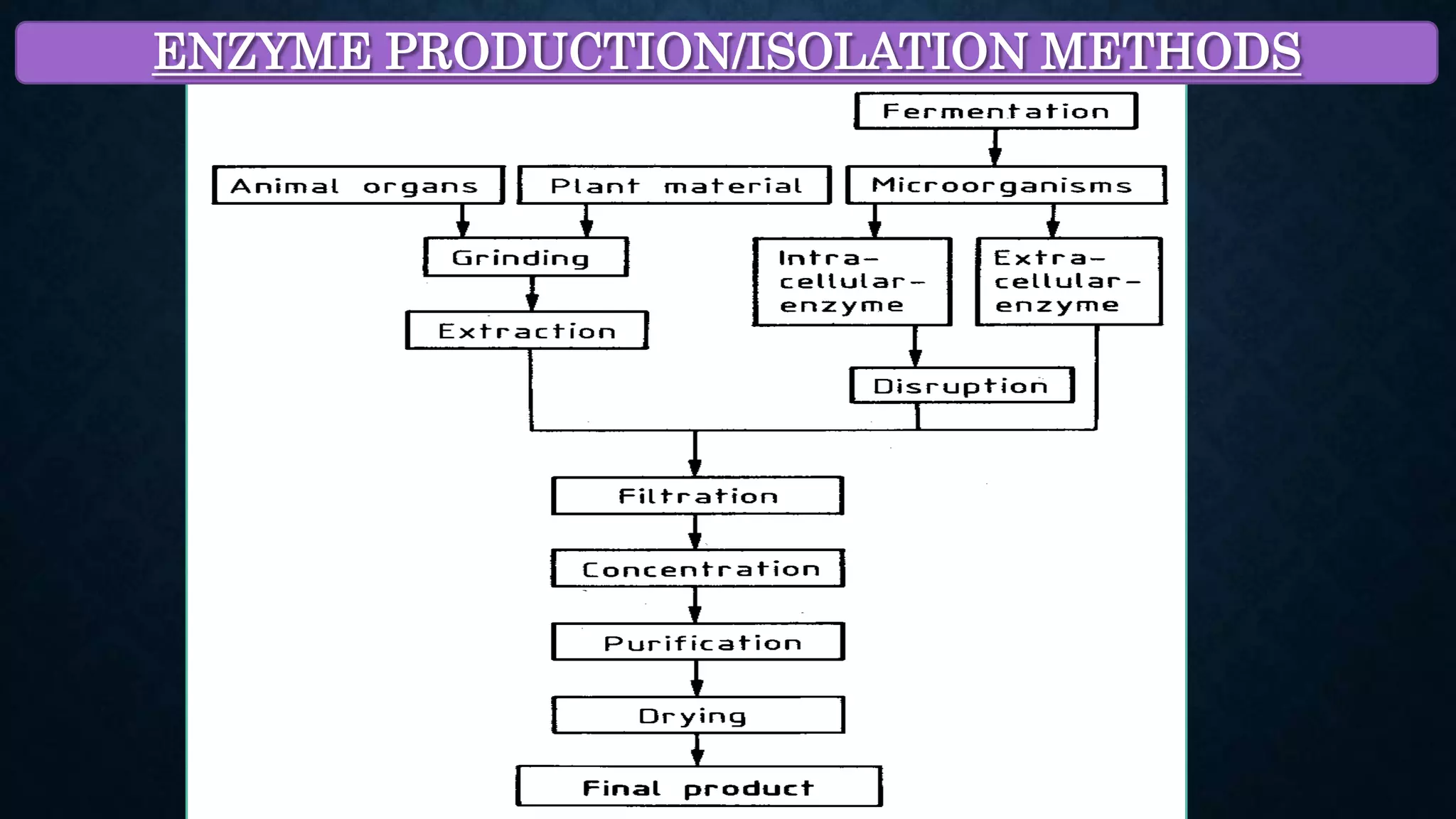 Enzyme technology | PPTX