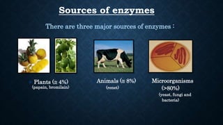 Enzyme technology | PPTX