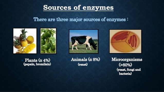 Enzyme technology