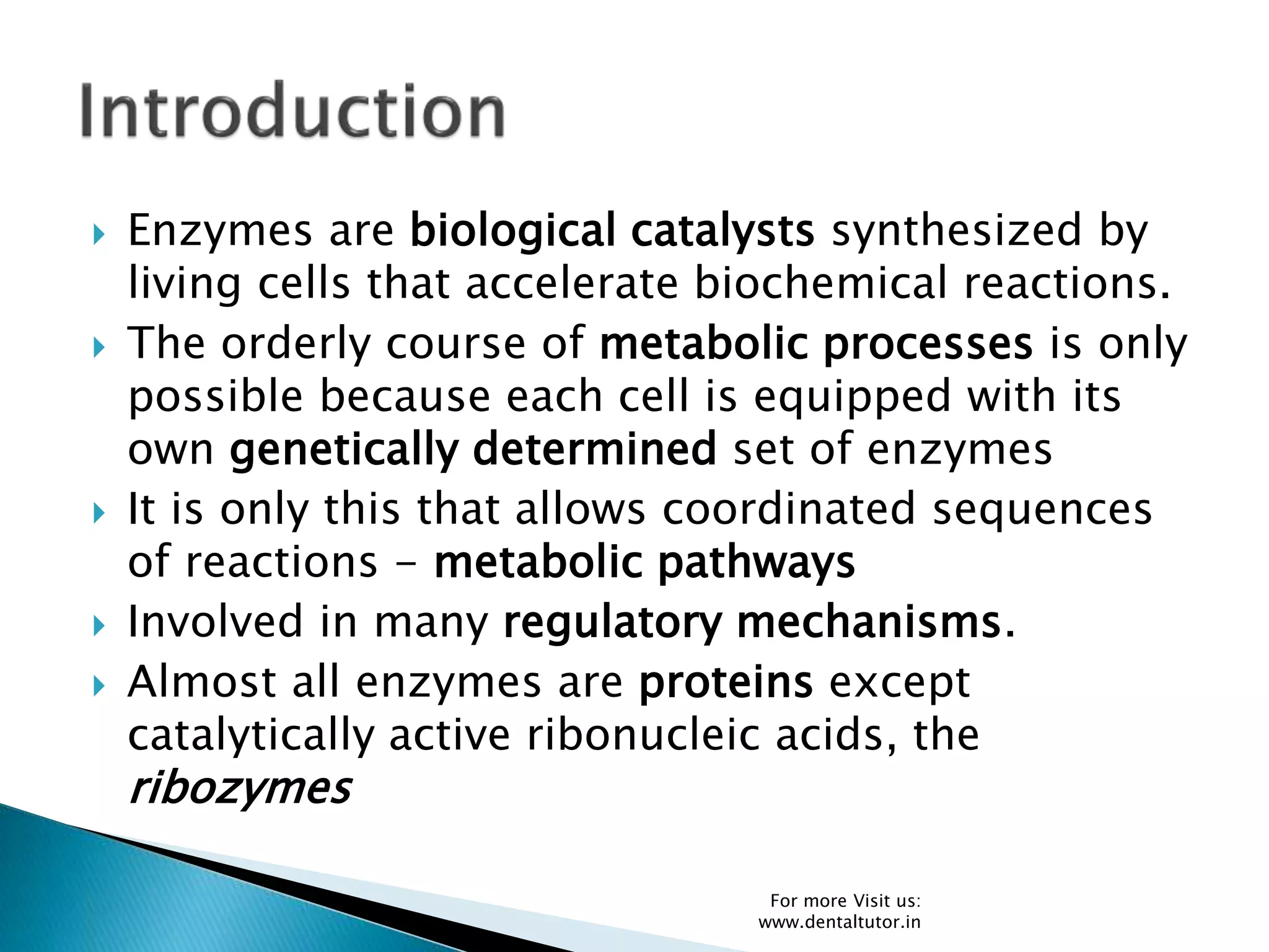 Enzyme | PPTX