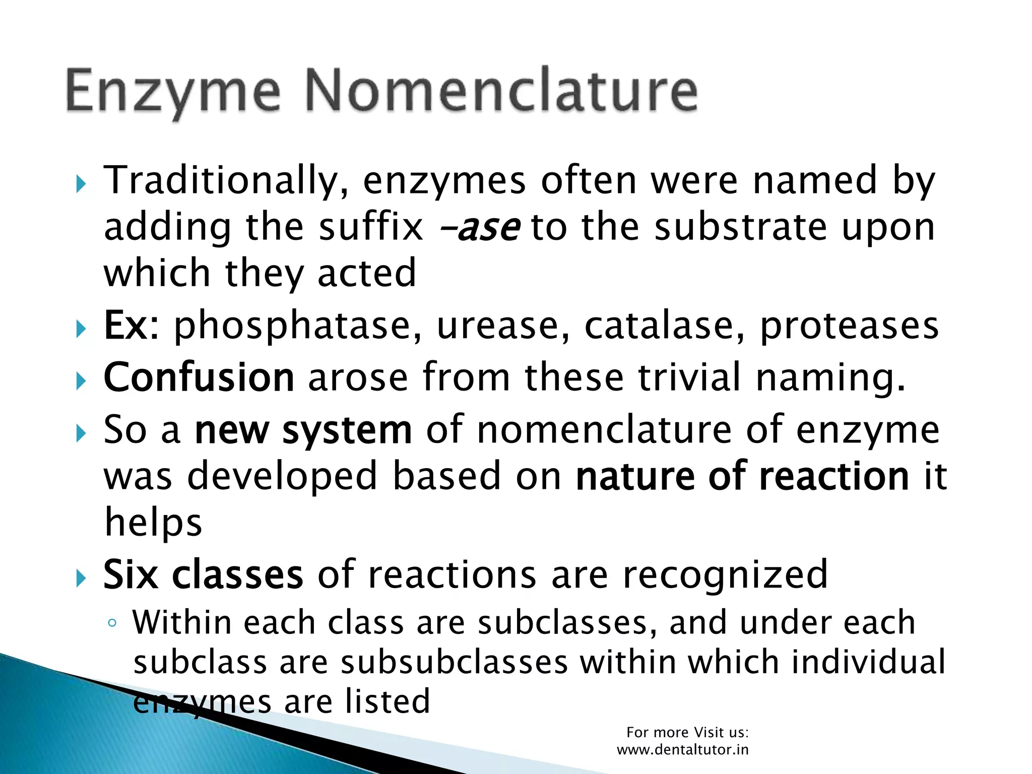 Enzyme | PPTX