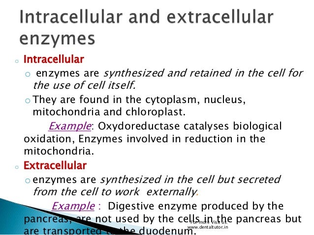 Enzyme