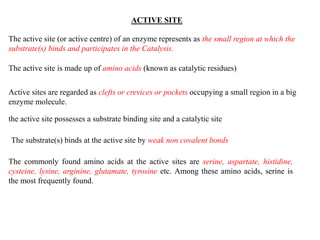 Enzyme unit 4 5 | PPTX