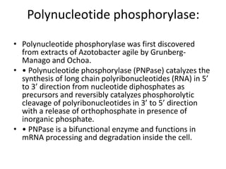 enzyme used in RTD.pptx