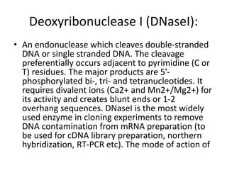 enzyme used in RTD.pptx