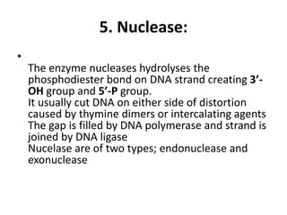 enzyme used in RTD.pptx