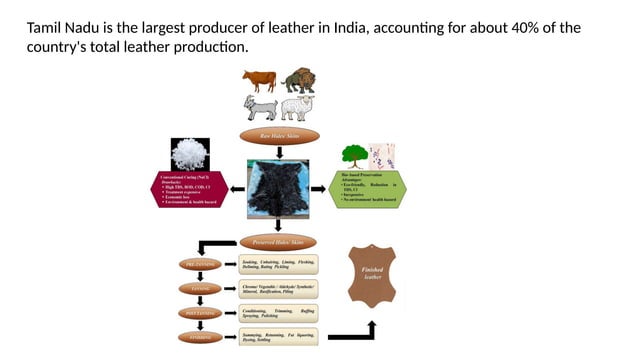 enzyme uses in leather, paper and textile industries.pptx