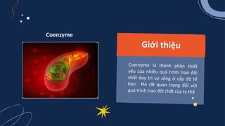 Enzyme and Coenzyme in supramolecular chemistry | PPTX