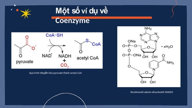 Enzyme and Coenzyme in supramolecular chemistry | PPTX