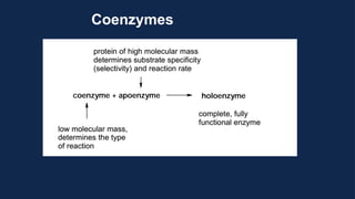 Enzyme and Coenzyme in supramolecular chemistry | PPTX