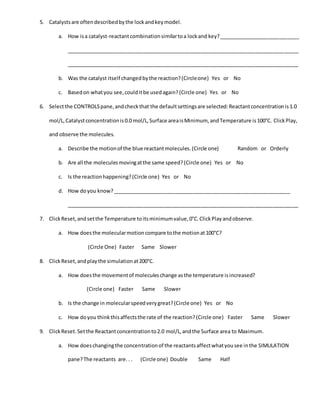Enzyme work sheet | DOCX