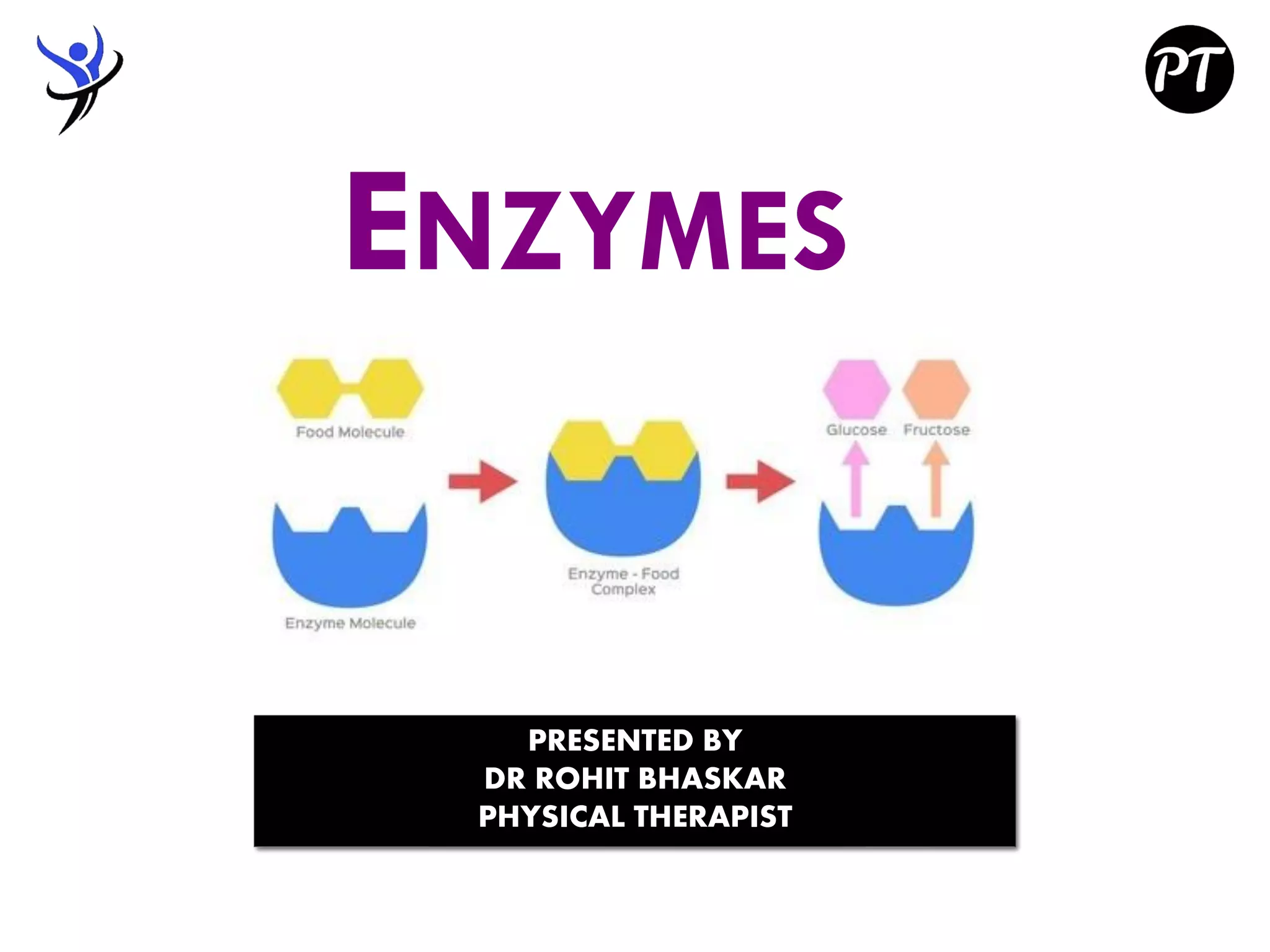 Enzymes - Structure, Classification, and Function - Dr Rohit Bhaskar | PDF