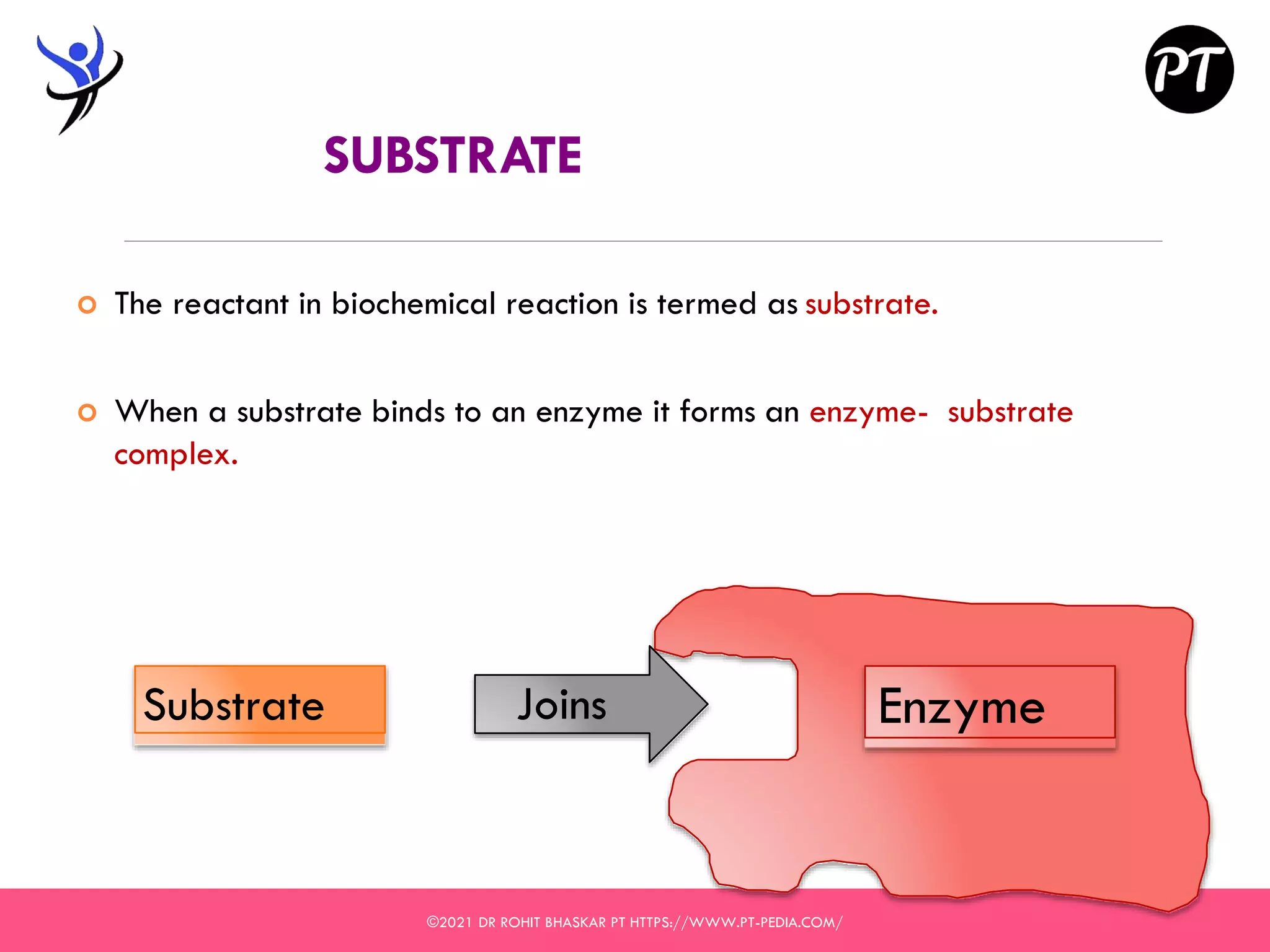 Enzymes - Structure, Classification, and Function - Dr Rohit Bhaskar | PDF
