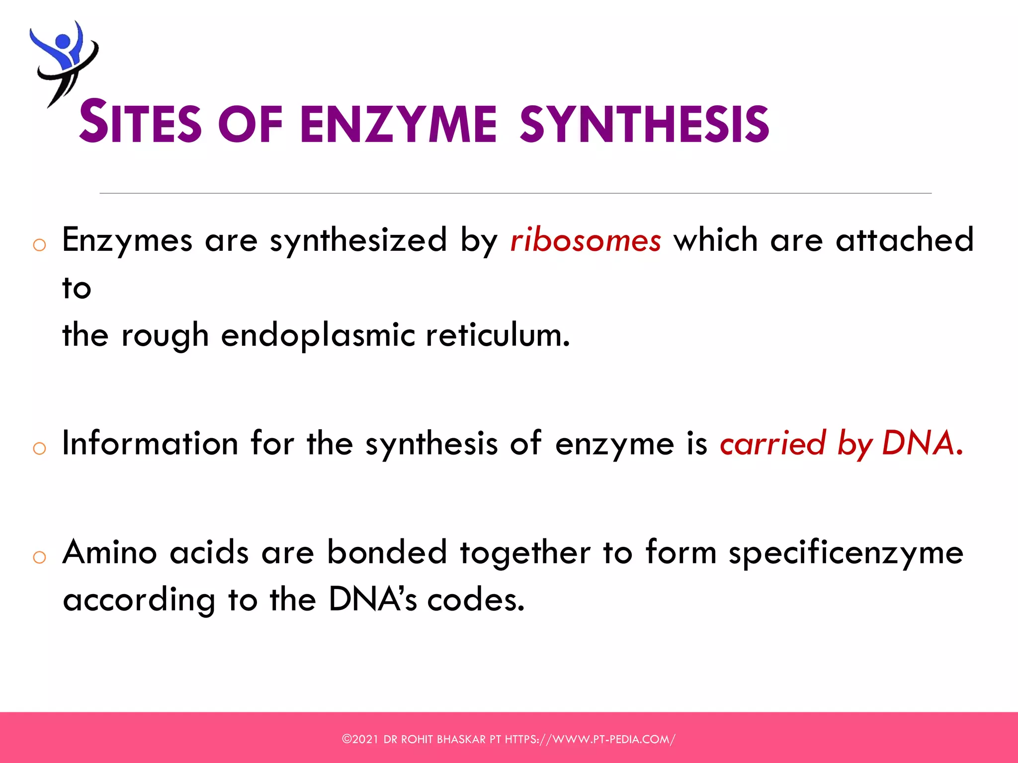 Enzymes - Structure, Classification, and Function - Dr Rohit Bhaskar | PDF