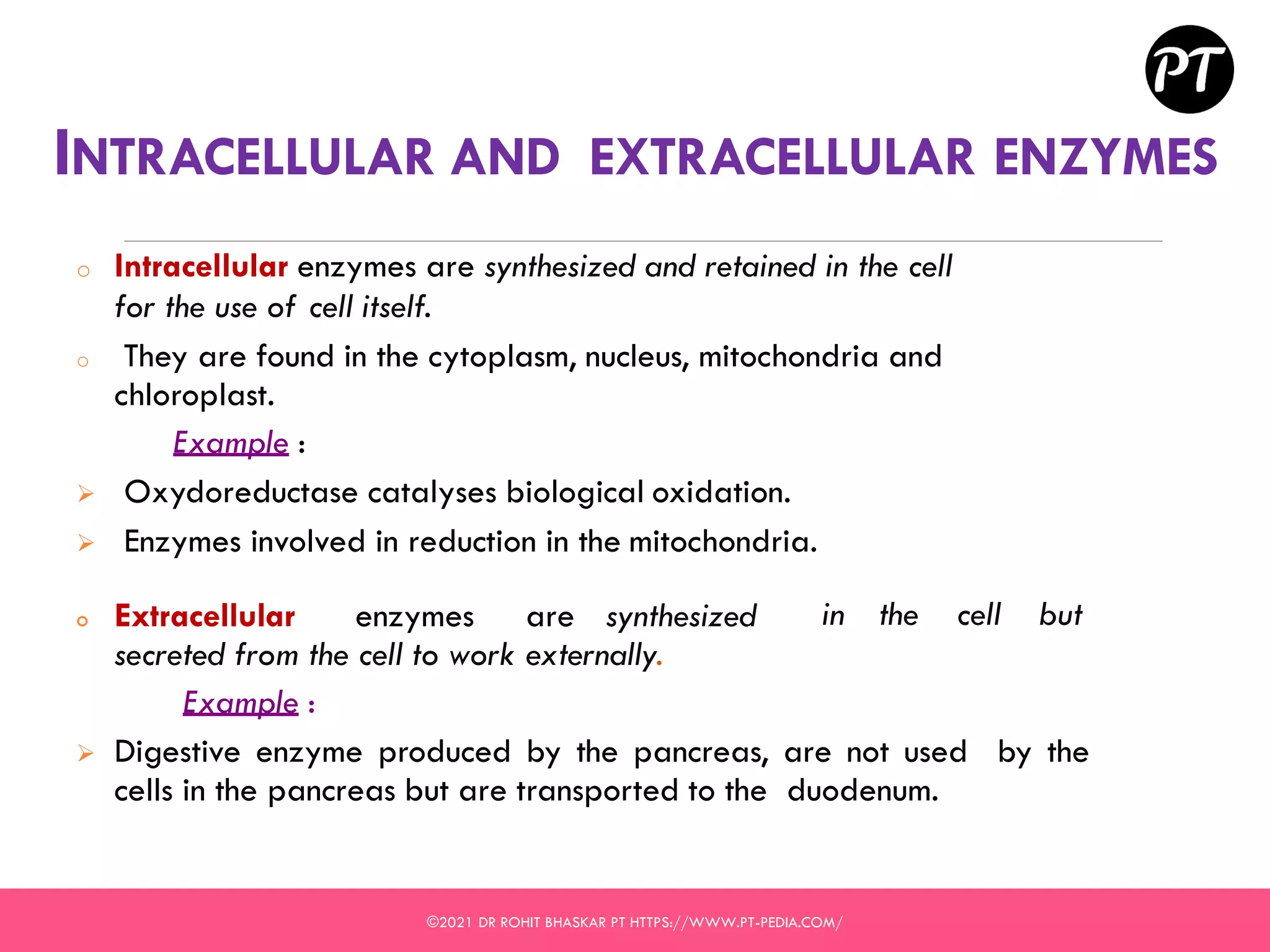 Enzymes - Structure, Classification, and Function - Dr Rohit Bhaskar | PDF