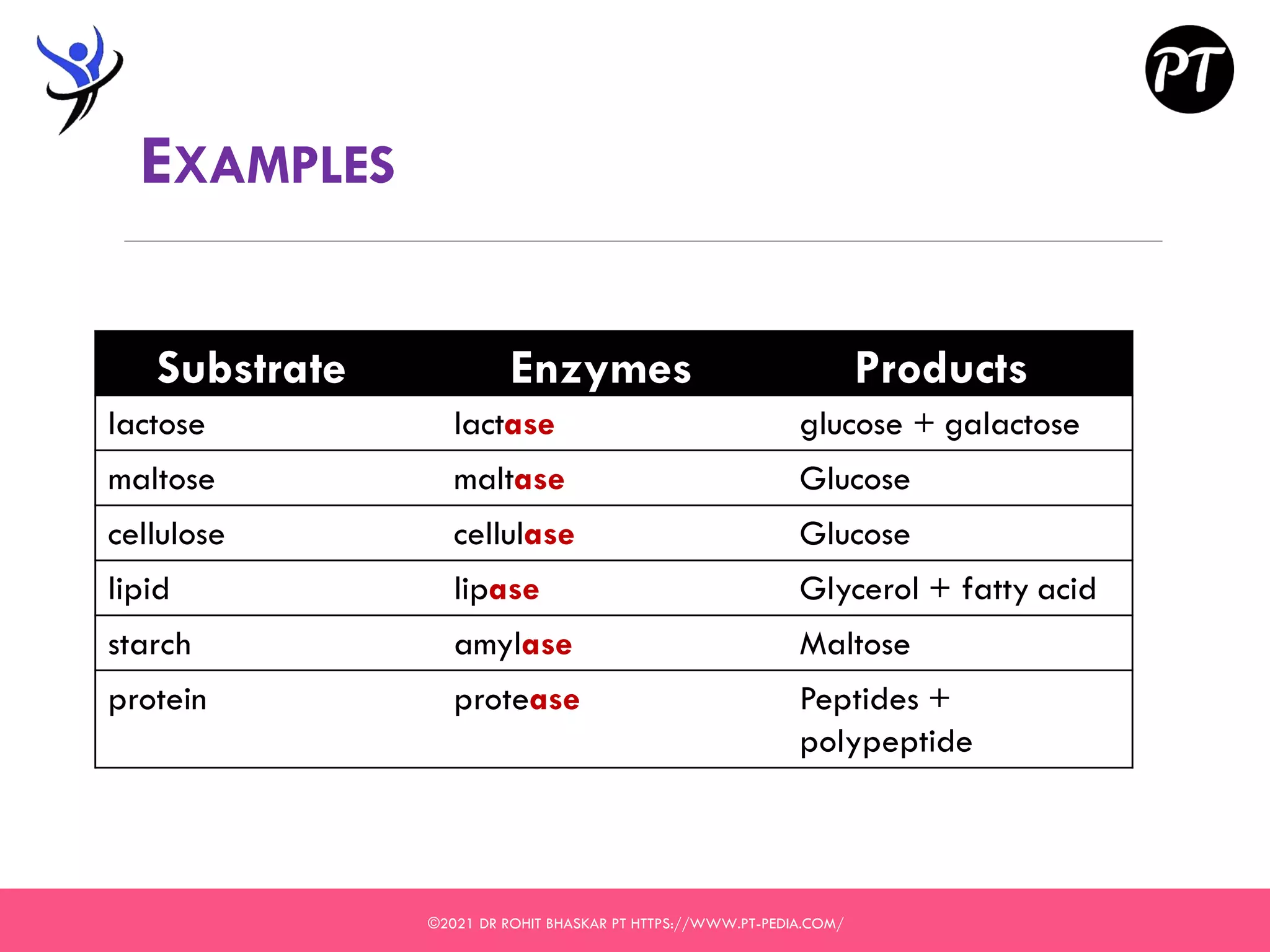 Enzymes - Structure, Classification, and Function - Dr Rohit Bhaskar | PDF