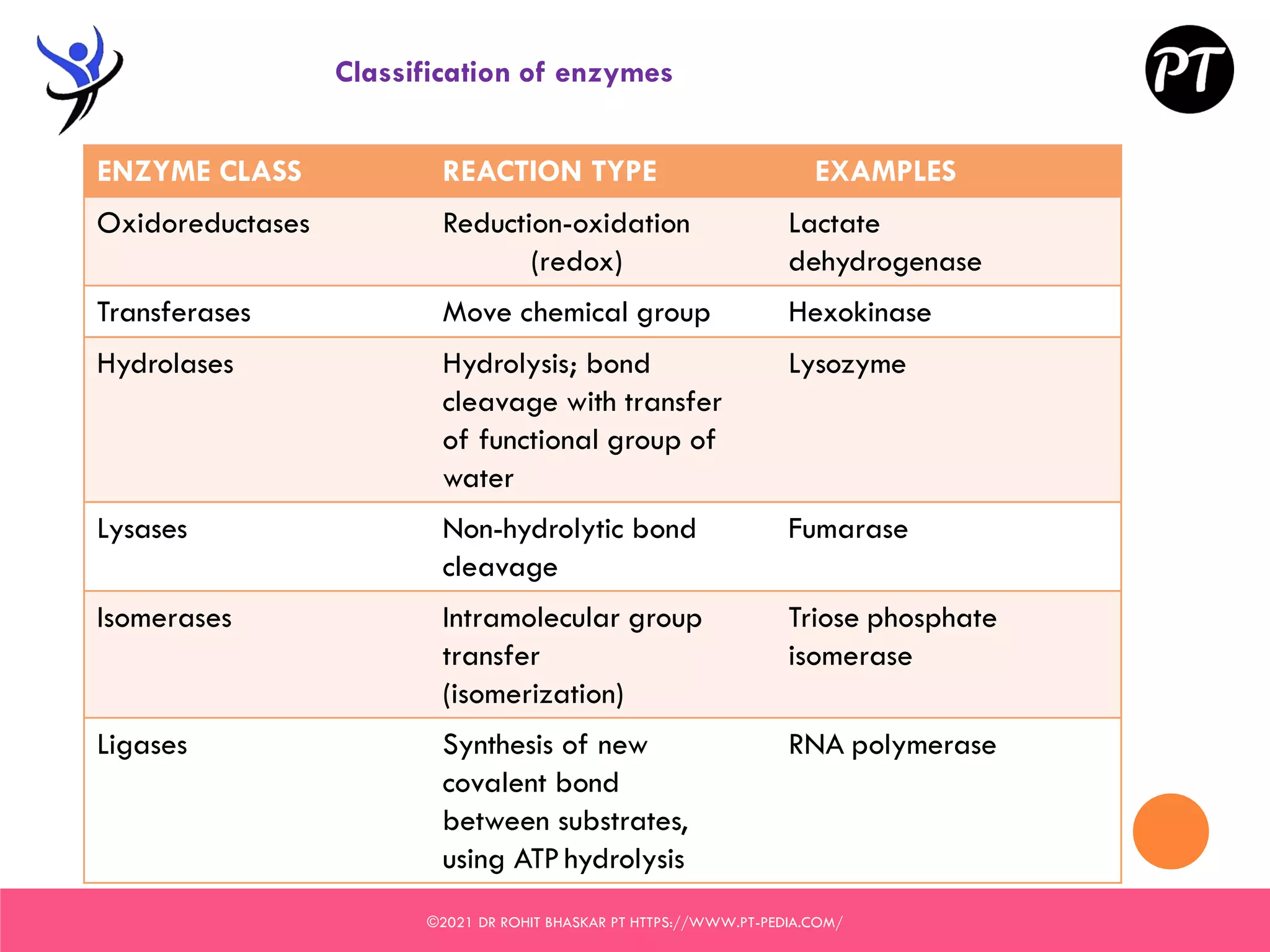 Enzymes - Structure, Classification, and Function - Dr Rohit Bhaskar | PDF