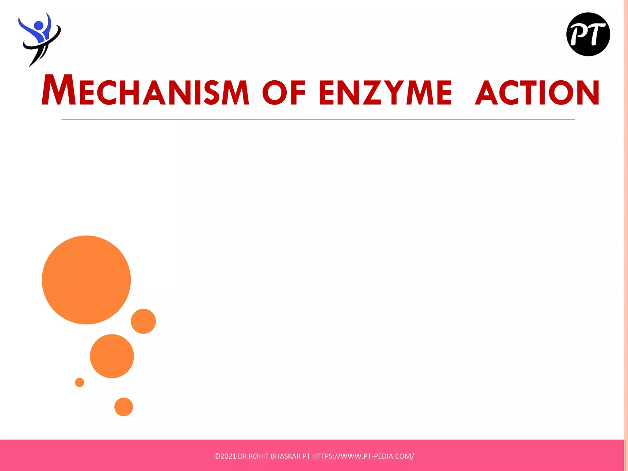 Enzymes - Structure, Classification, and Function - Dr Rohit Bhaskar | PDF