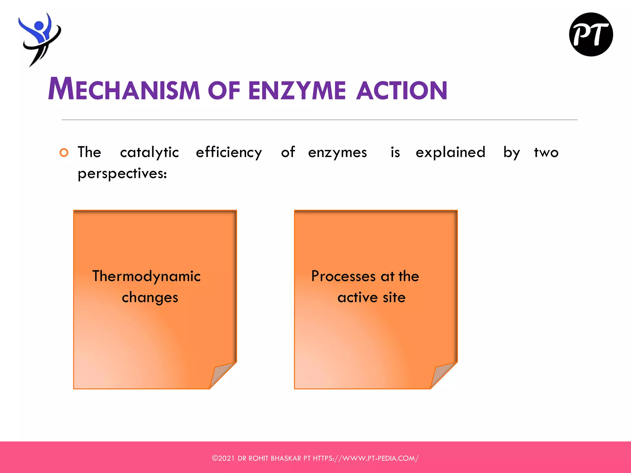 Enzymes - Structure, Classification, and Function - Dr Rohit Bhaskar | PDF