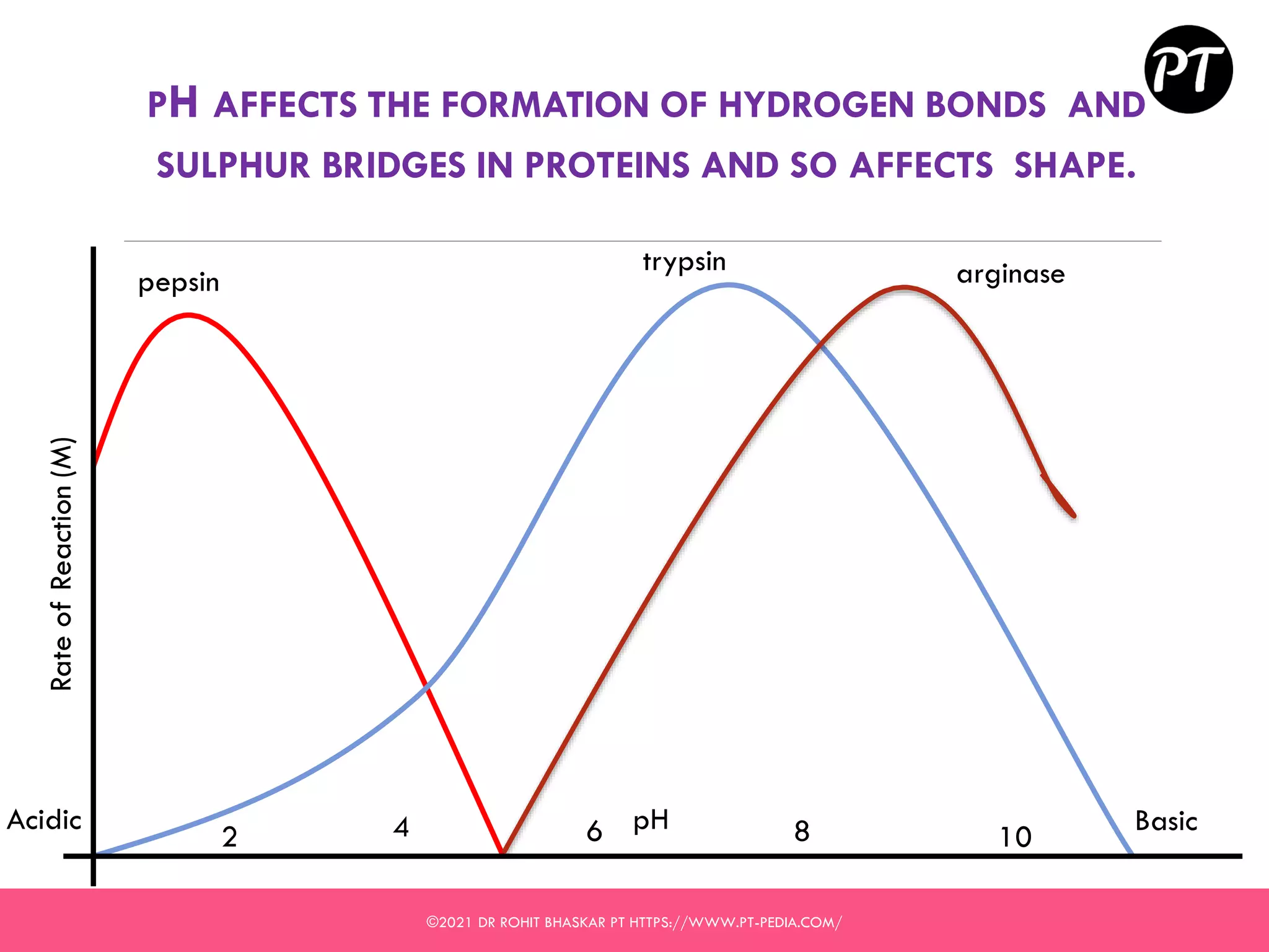 Enzymes - Structure, Classification, and Function - Dr Rohit Bhaskar | PDF