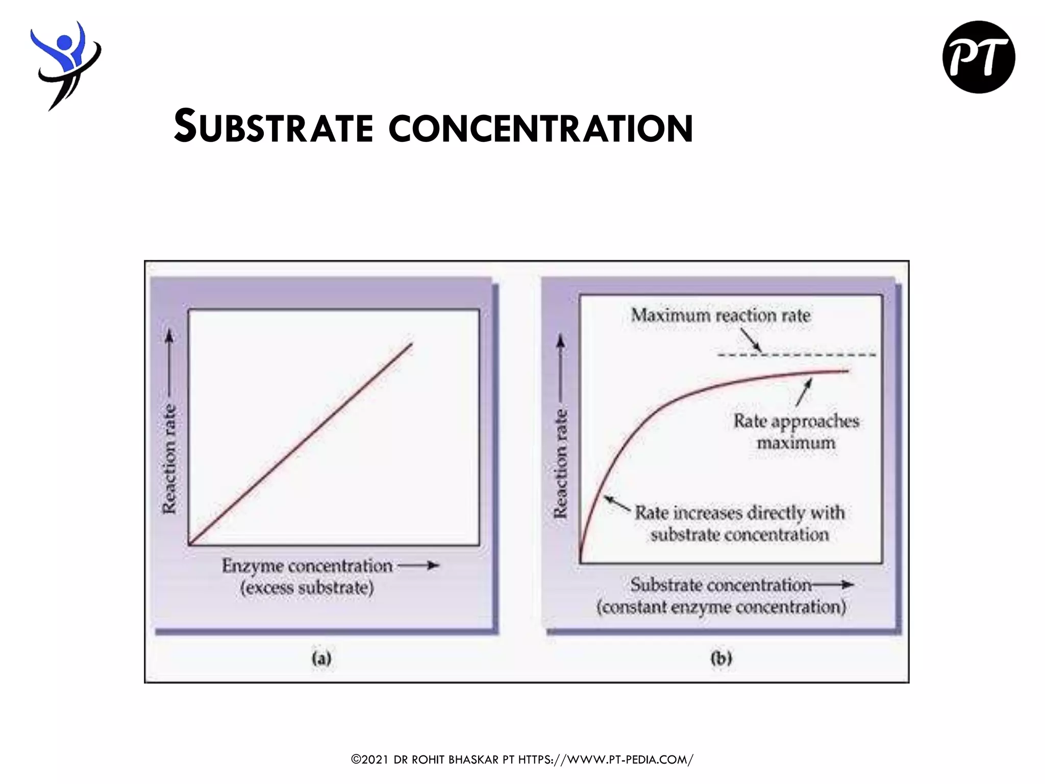 Enzymes - Structure, Classification, and Function - Dr Rohit Bhaskar | PDF