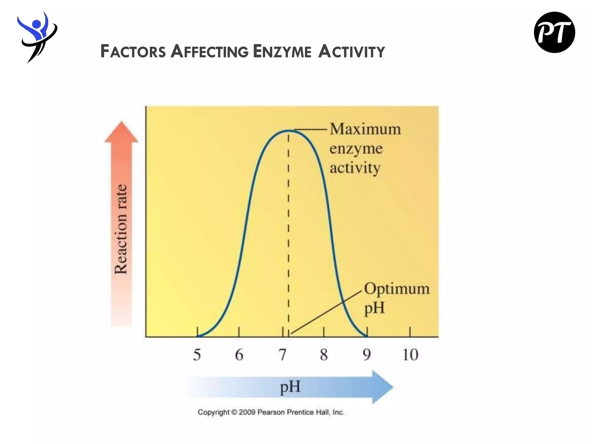 Enzymes - Structure, Classification, and Function - Dr Rohit Bhaskar | PDF