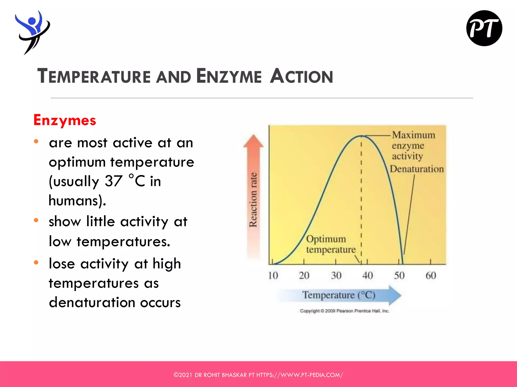 Enzymes - Structure, Classification, and Function - Dr Rohit Bhaskar | PDF