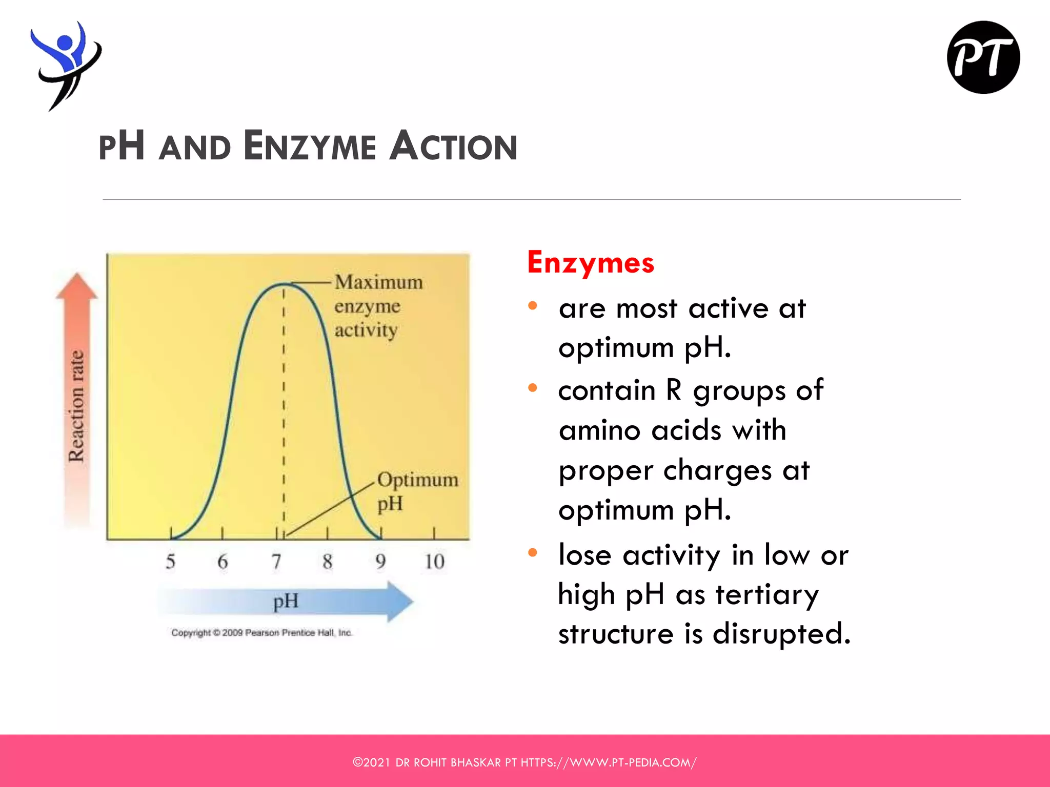 Enzymes - Structure, Classification, and Function - Dr Rohit Bhaskar | PDF