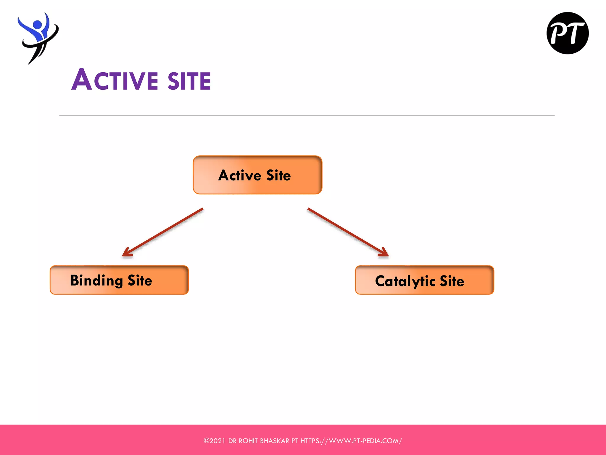 Enzymes - Structure, Classification, and Function - Dr Rohit Bhaskar | PDF
