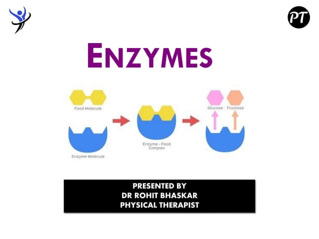 Enzymes - Structure, Classification, and Function - Dr Rohit Bhaskar | PDF