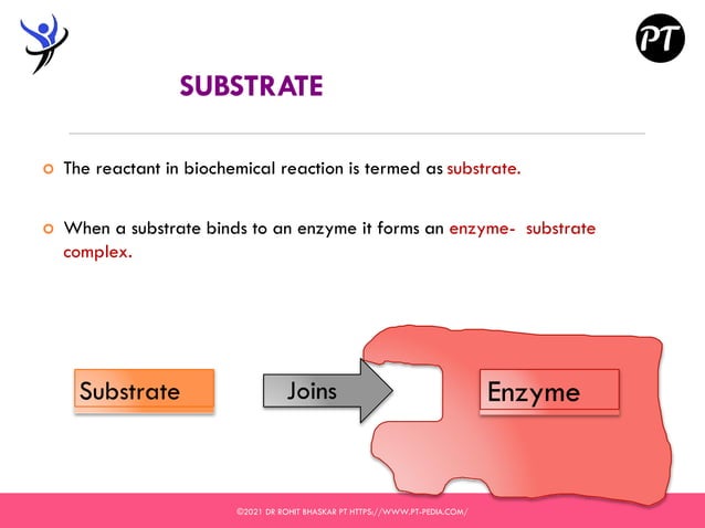 Enzymes - Structure, Classification, and Function - Dr Rohit Bhaskar | PDF