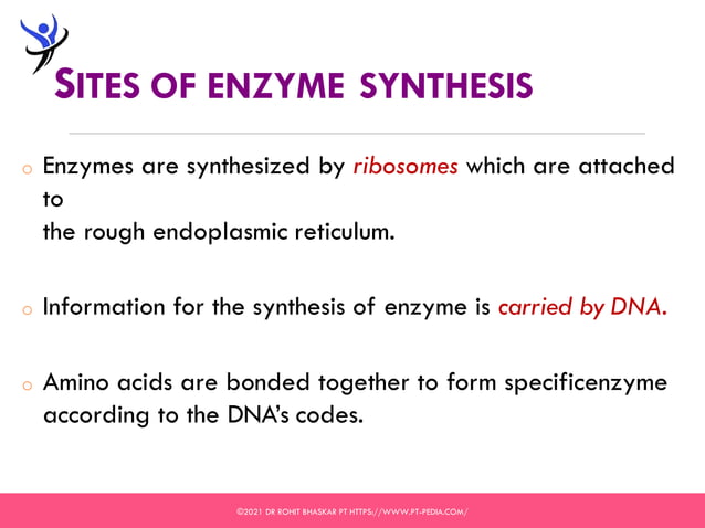 Enzymes - Structure, Classification, and Function - Dr Rohit Bhaskar | PDF