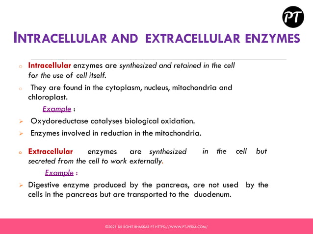Enzymes - Structure, Classification, and Function - Dr Rohit Bhaskar | PDF