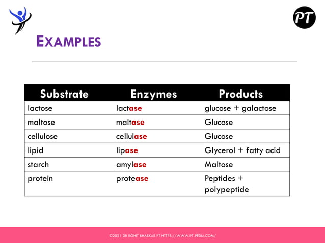 Enzymes - Structure, Classification, and Function - Dr Rohit Bhaskar | PDF