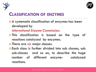 Enzymes - Structure, Classification, and Function - Dr Rohit Bhaskar | PDF