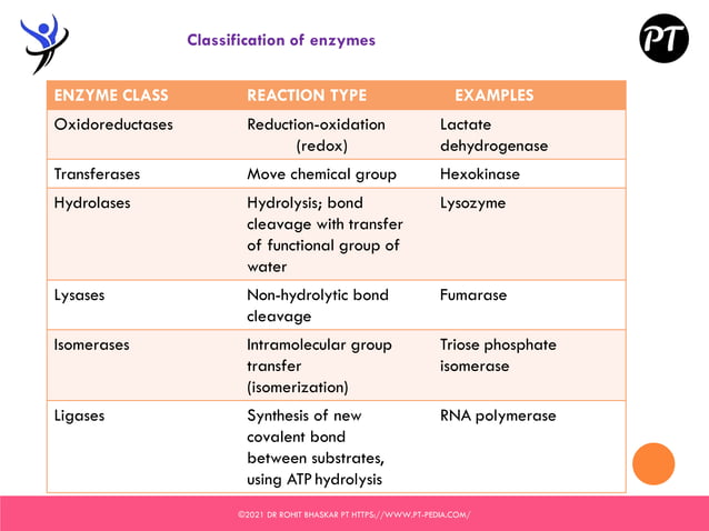 Enzymes - Structure, Classification, and Function - Dr Rohit Bhaskar | PDF
