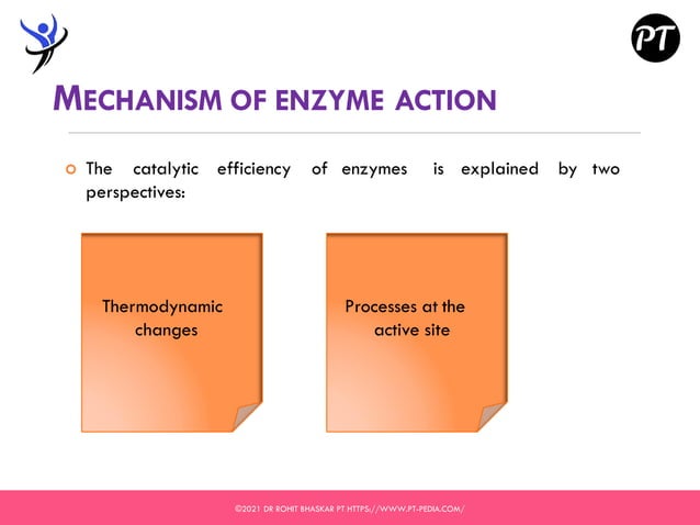 Enzymes - Structure, Classification, and Function - Dr Rohit Bhaskar | PDF