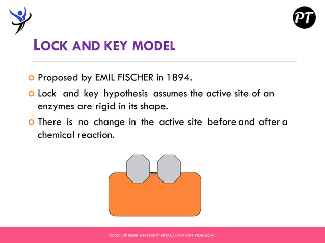 Enzymes - Structure, Classification, and Function - Dr Rohit Bhaskar | PDF