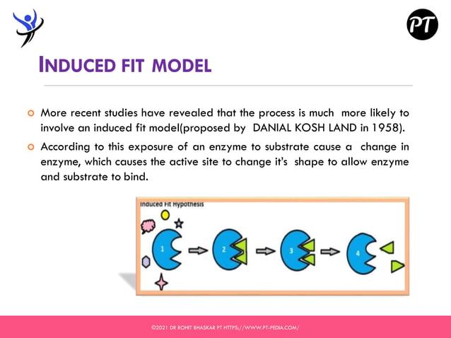 Enzymes - Structure, Classification, and Function - Dr Rohit Bhaskar | PDF
