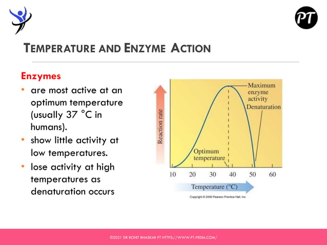 Enzymes - Structure, Classification, and Function - Dr Rohit Bhaskar | PDF