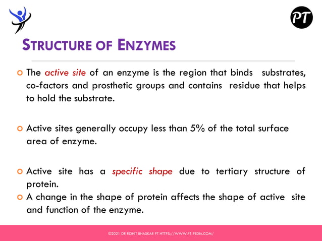 Enzymes - Structure, Classification, and Function - Dr Rohit Bhaskar | PDF