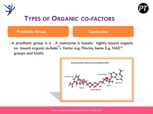 Enzymes - Structure, Classification, and Function - Dr Rohit Bhaskar | PDF