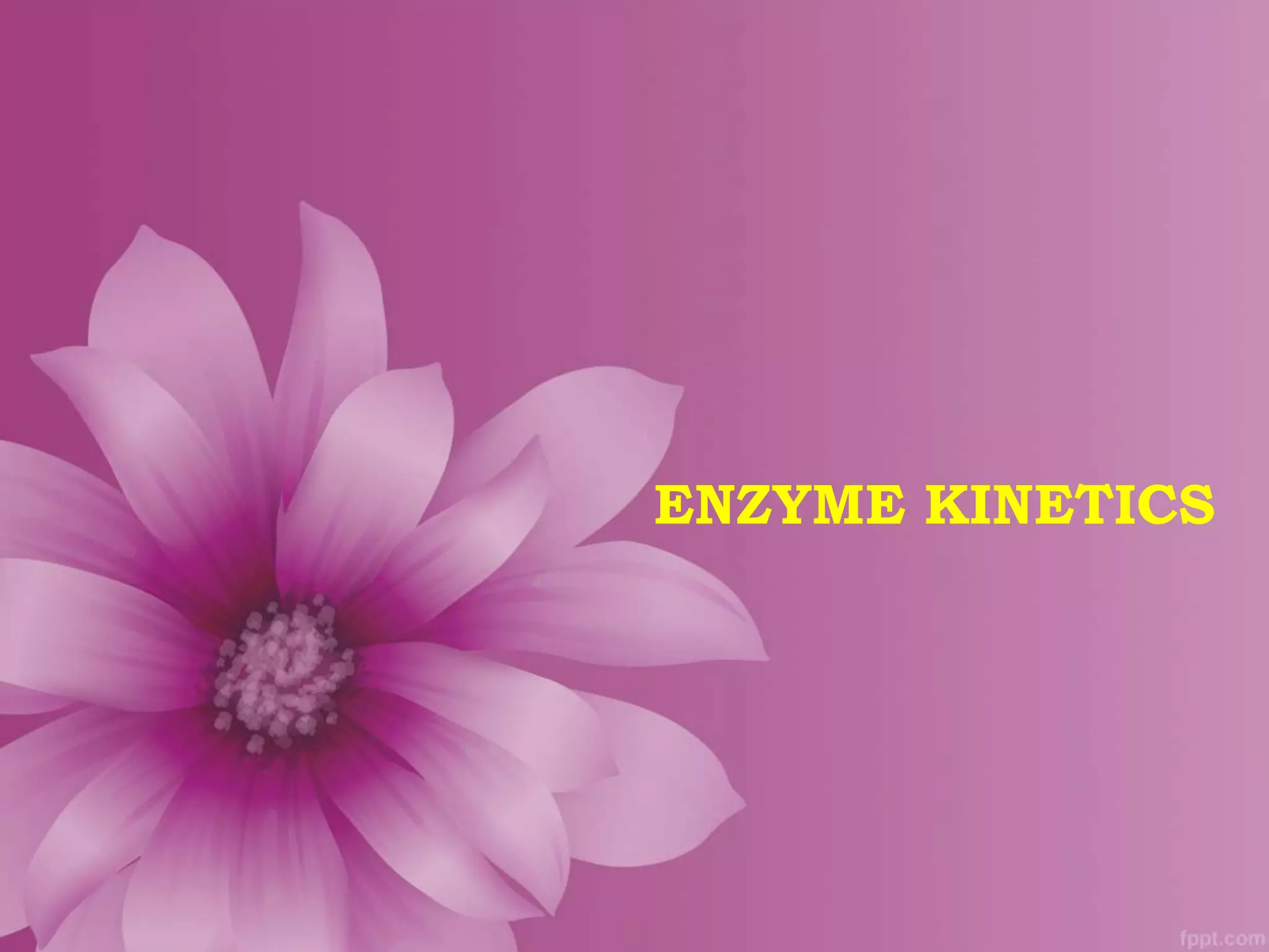 Enzymol Kinetics.ppt