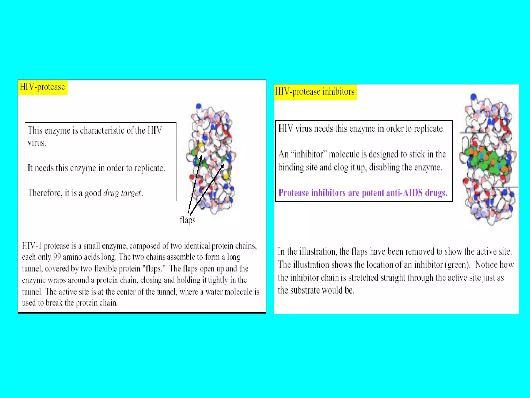 Enzymology -------- | PPT