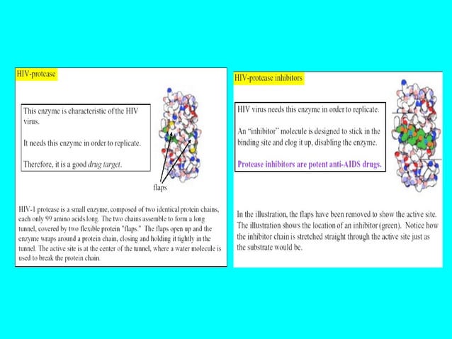 Enzymology -------- | PPT