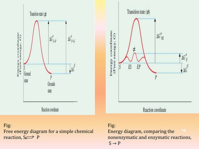 Enzyme Inhibitors, Activation energy and MEC. | PPTX