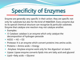Enzymology.pptx and it's classifications | PPTX