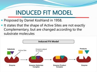 Enzymology.pptx and it's classifications | PPTX
