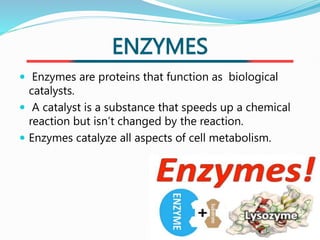 Enzymology.pptx and it's classifications | PPTX