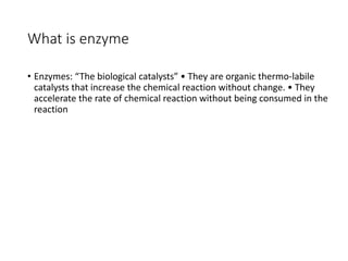 Enzymology-BSc-Biochemsitry-SEM-III-PPT.pptx.ppt | Chemistry | Science